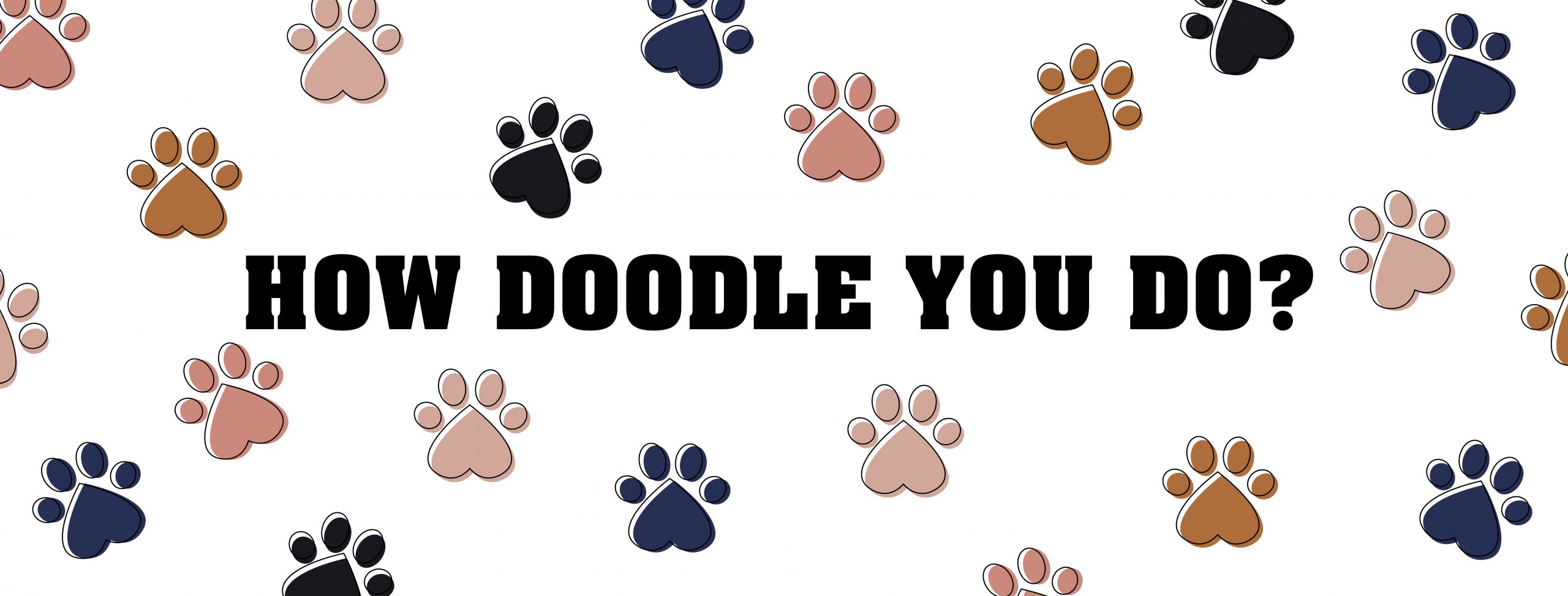 Reserve a puppy - Platte Doodles